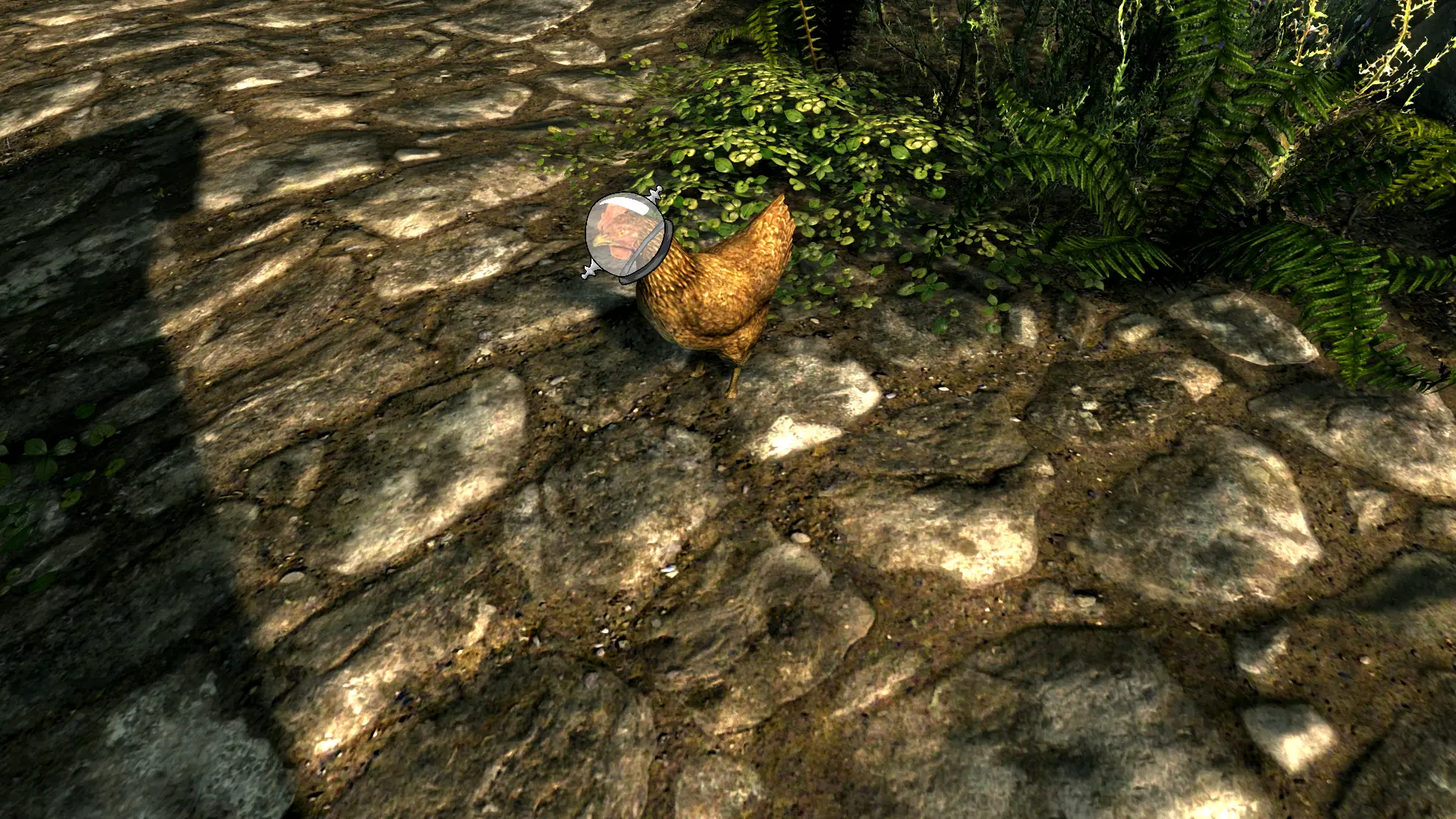 星空SFSE插件地址库MOD - MODO管家 | 最新、最全、热门 MOD 免费下载